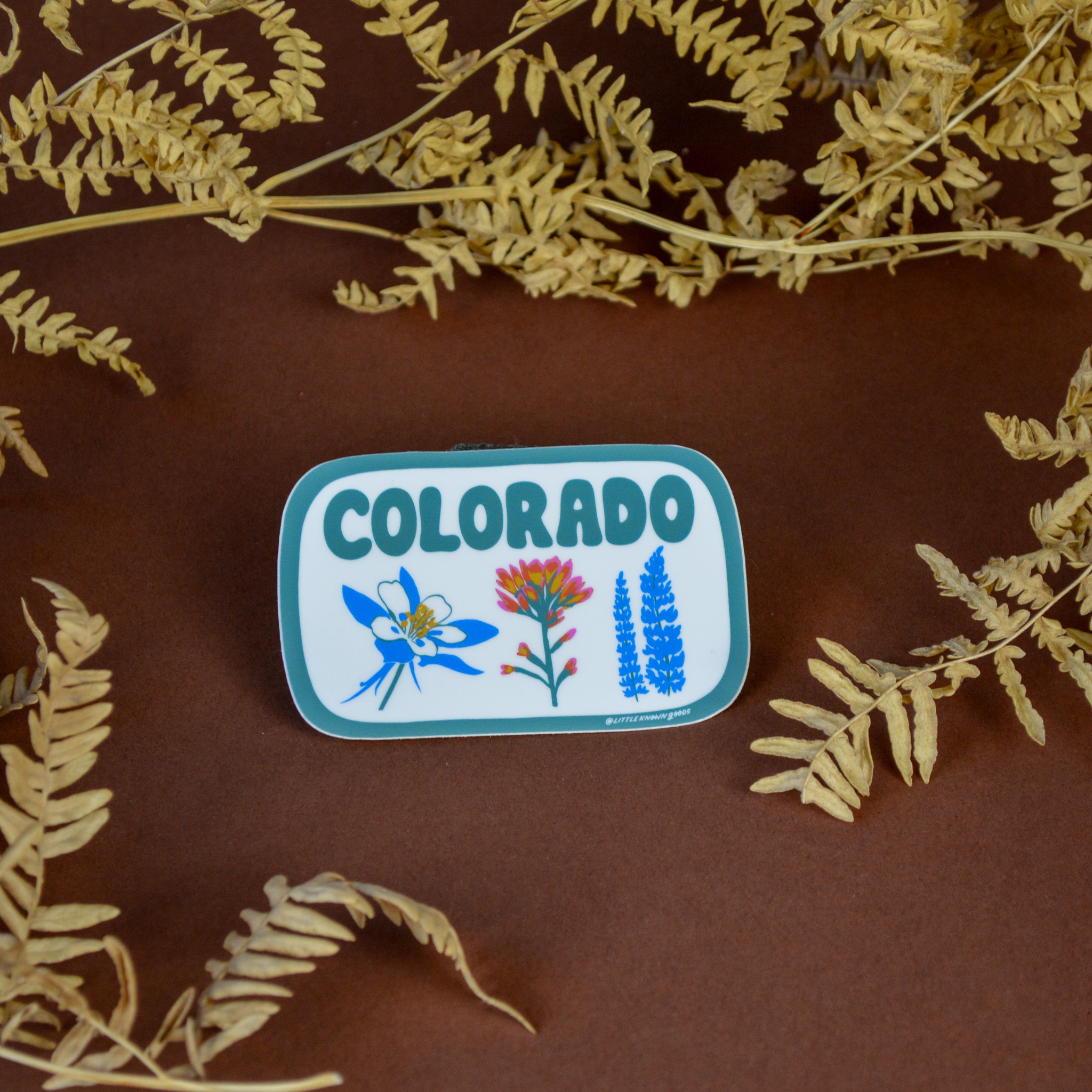 ASSORTED COLORADO STICKERS - Boulder Blooms