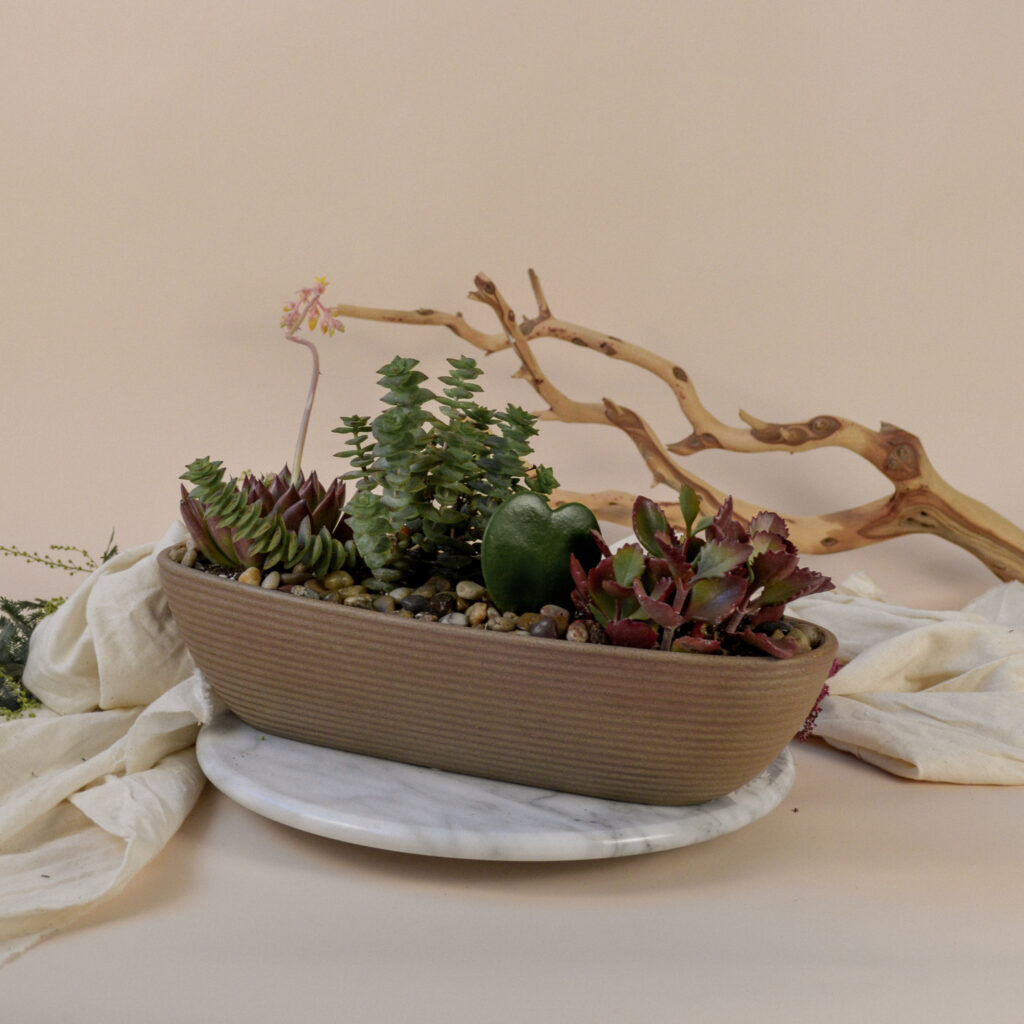 Home - Boulder Blooms