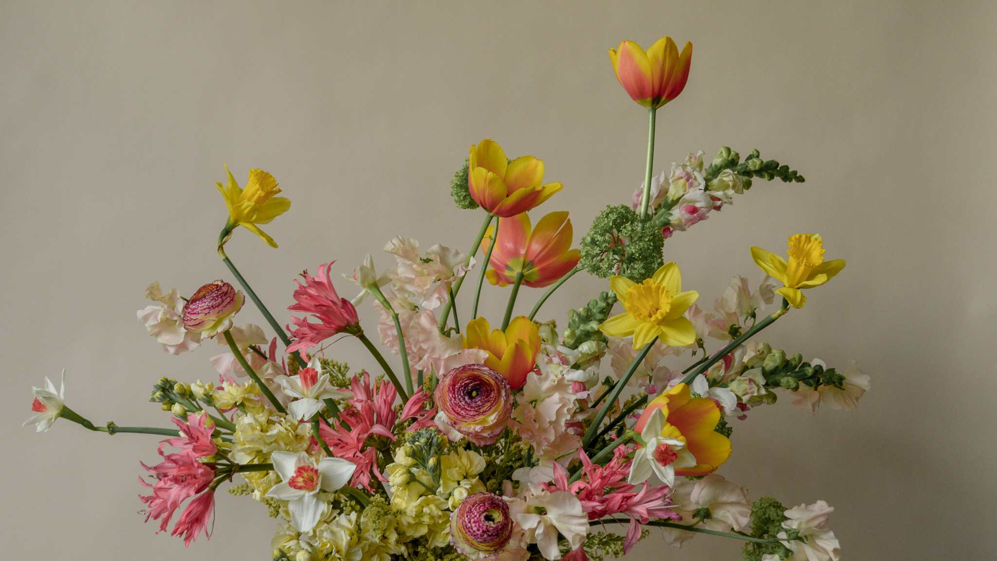 Home - Boulder Blooms