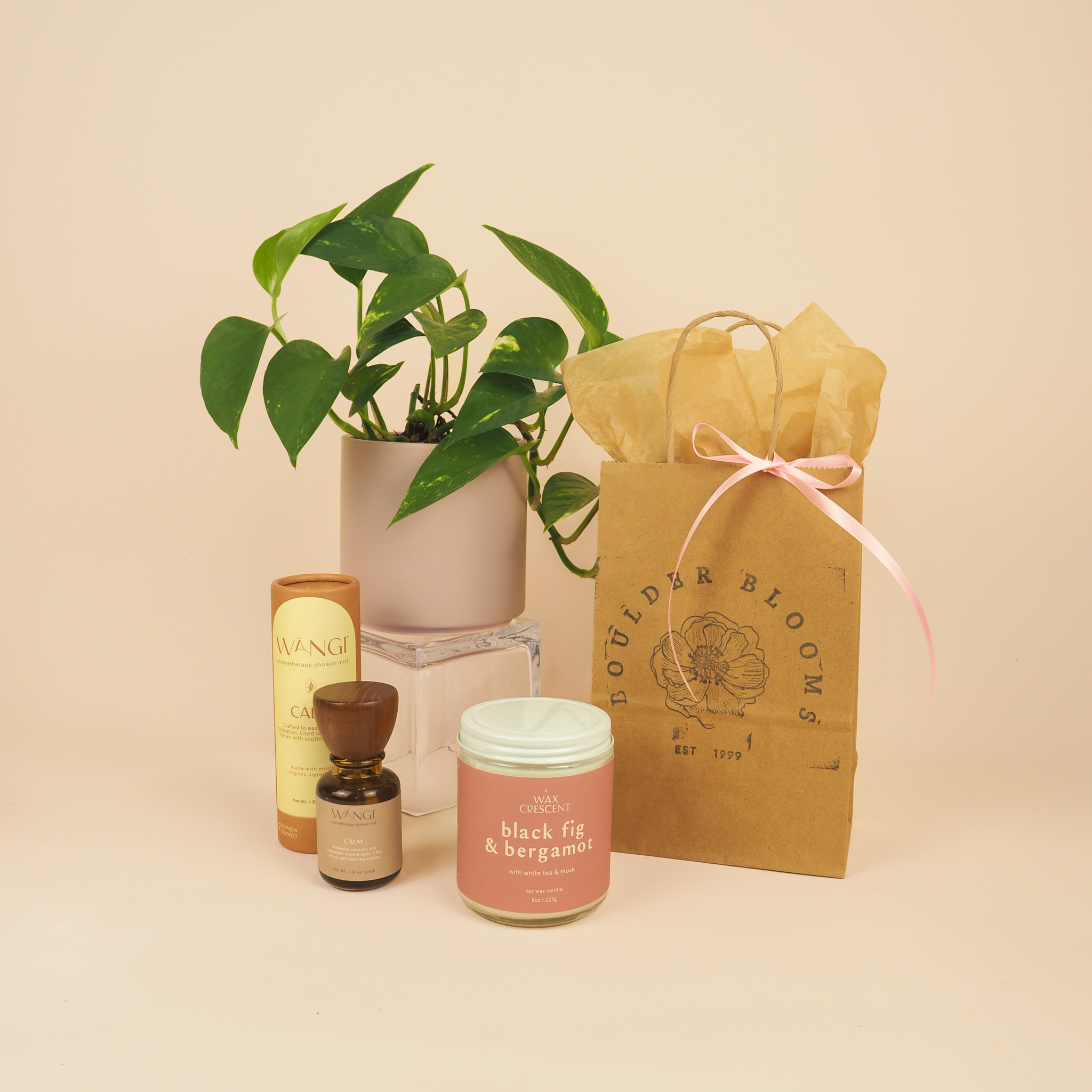 MOVE-IN BUNDLE: Housewarming Plant with Gifts - Boulder Blooms